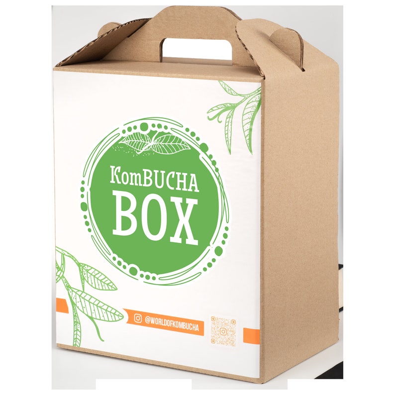 Handcrafted Scoby Starter Kit for Homemade Kombucha - Everything You ...
