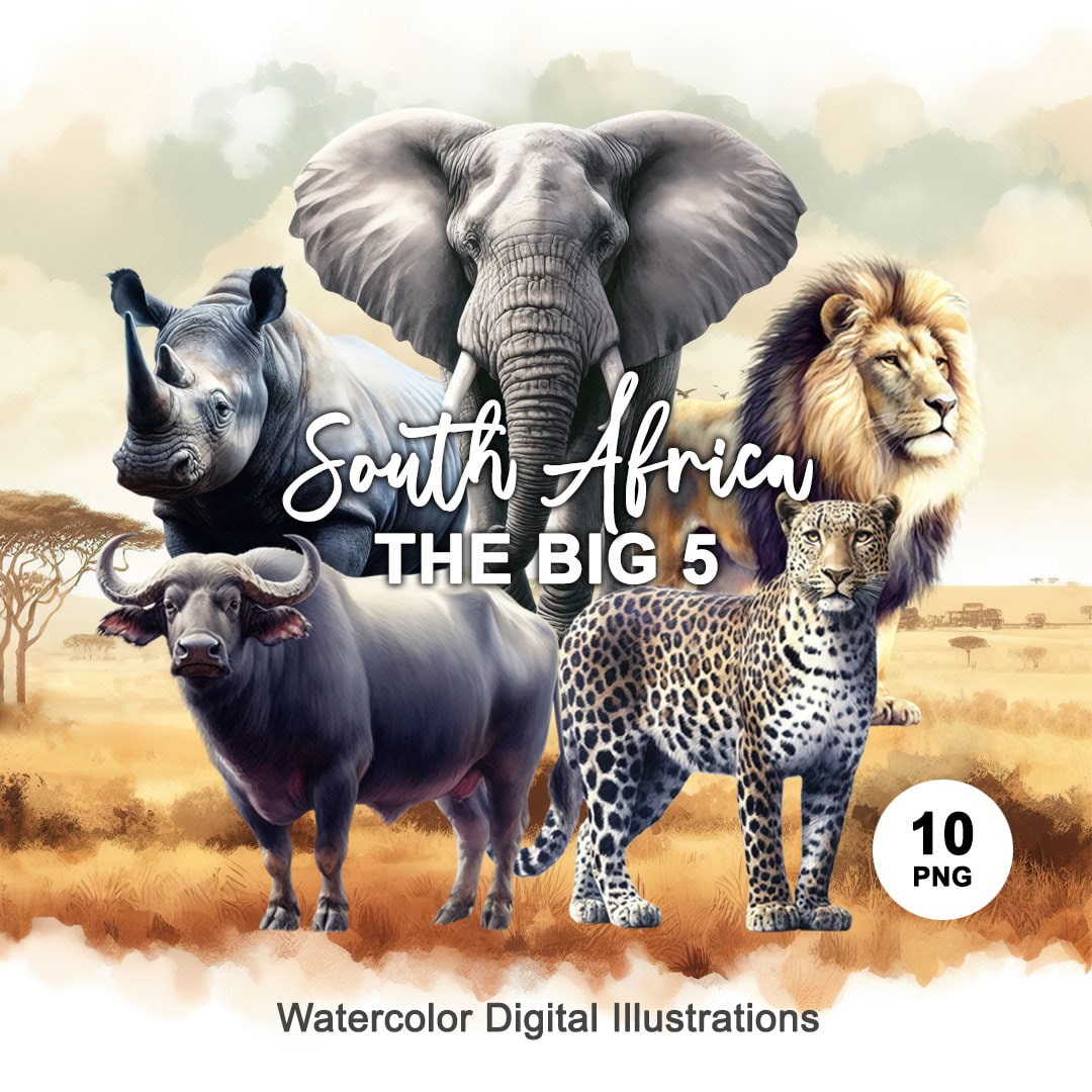 Watercolor African Animals the Big 5 - Etsy