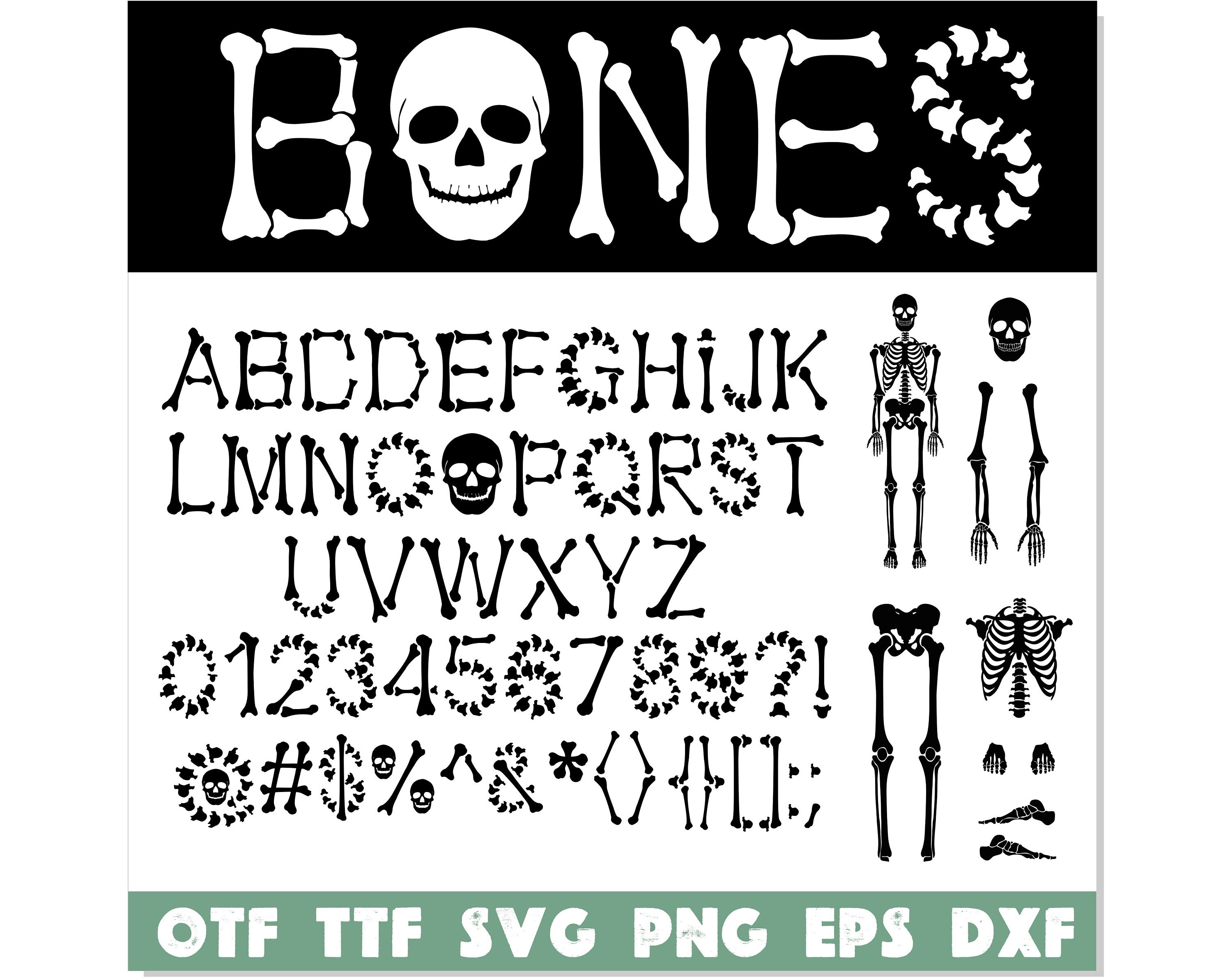Bones Font OTF, Skeleton Parts Svg, Bones Font Svg, Pirate Font ...