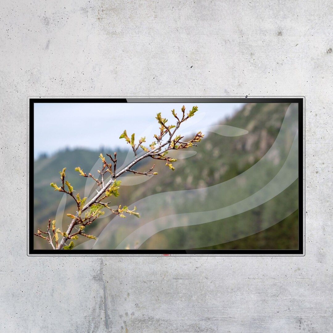 Samsung Tv Art, Nature Frame Tv, Photo Frame Tv, Tv Photo Frame ...