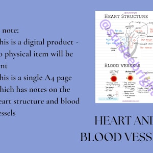AQA GCSE Biology Grade 9 Notes on Heart Structure and Blood Vessels ...