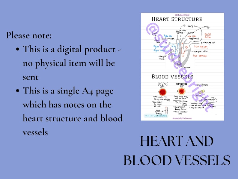AQA GCSE Biology Grade 9 Notes on Heart Structure and Blood Vessels ...