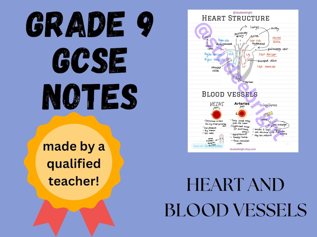 AQA GCSE Biology Grade 9 Notes on Heart Structure and Blood Vessels ...