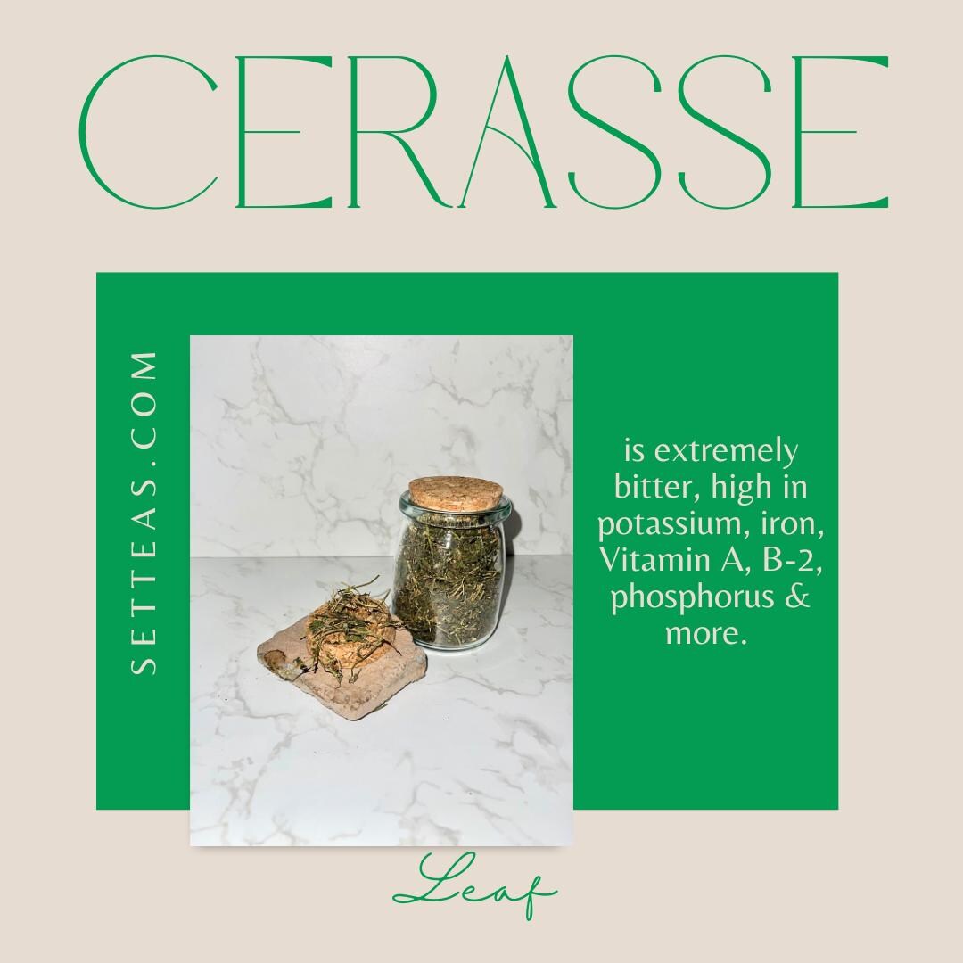 100% Cerasee - Individually Wrapped Tea Bags - Etsy