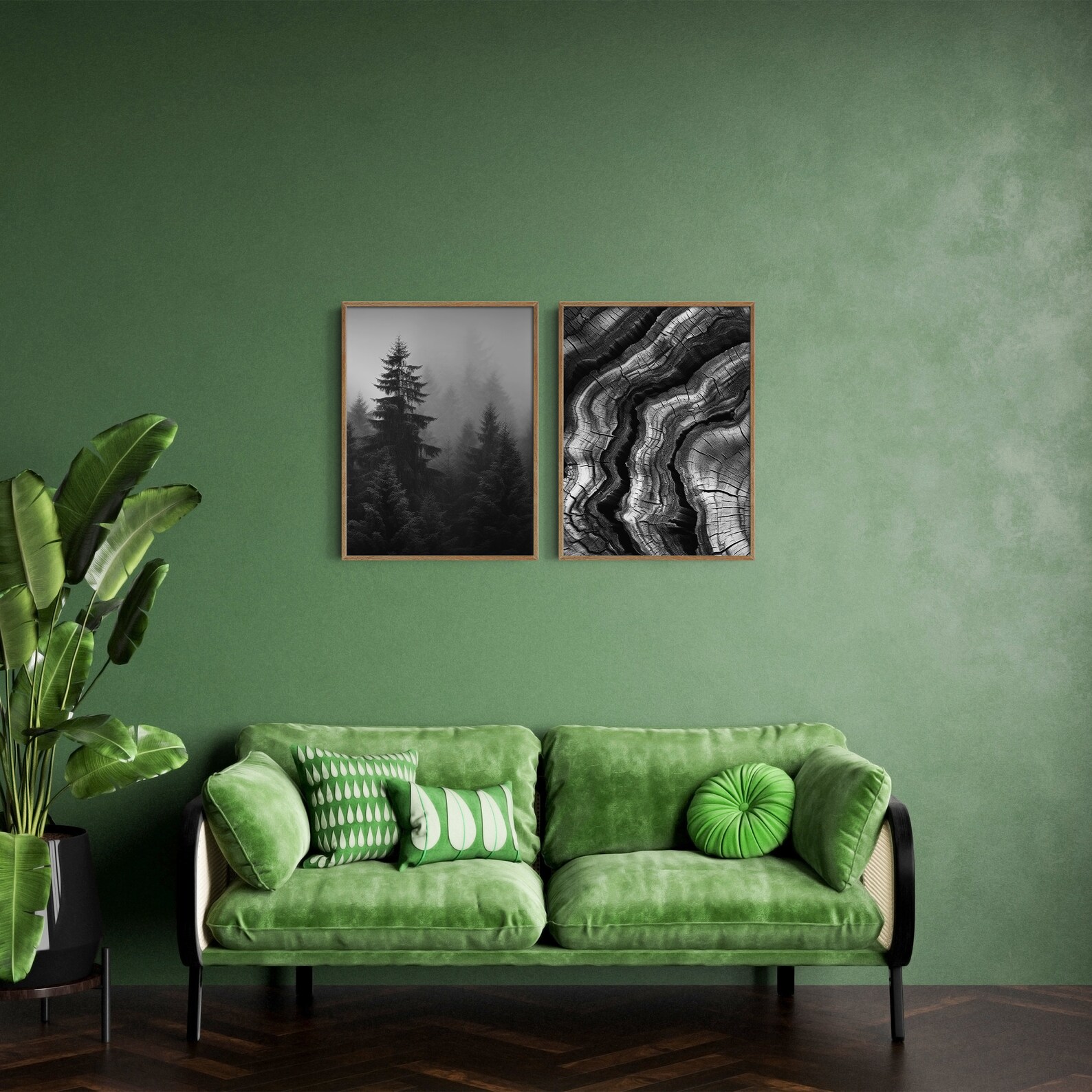 Coniferous Forest Tree Ring Nature Print Set Black and White, Set of 2 ...