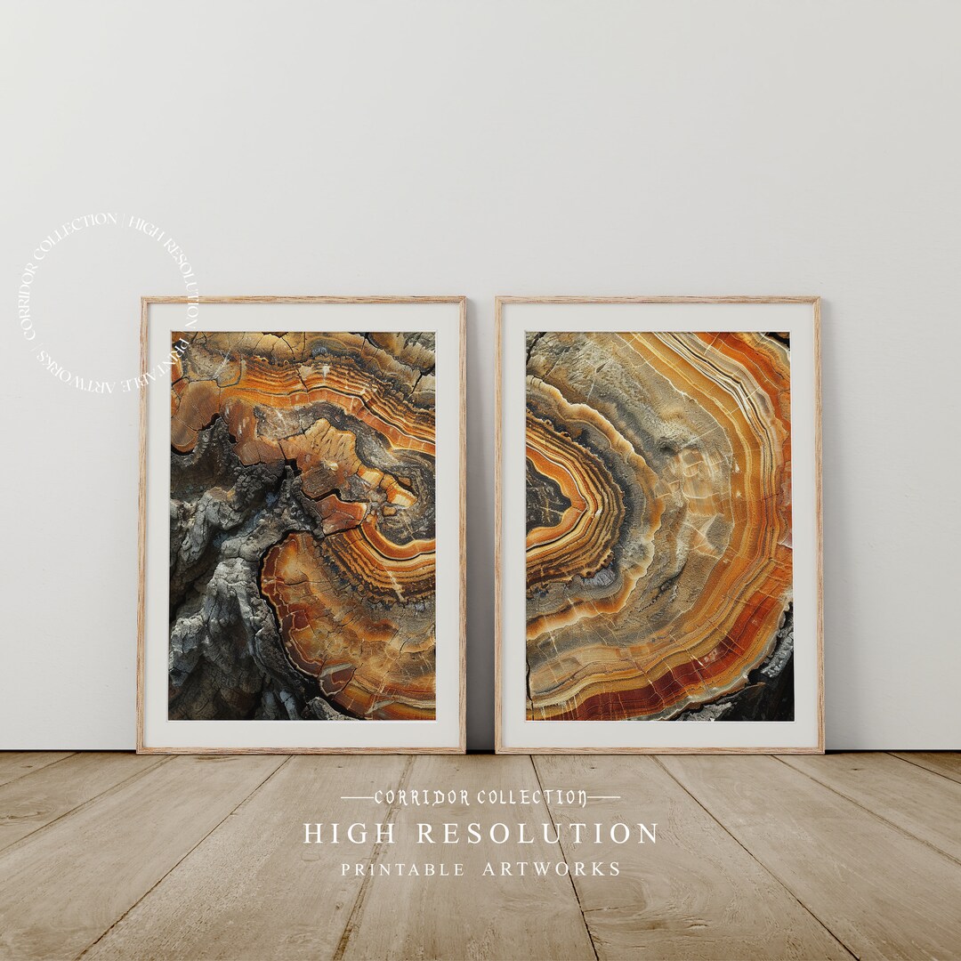 Tree Stump, Tree Ring Art Prints, 2 Piece Printable Tree Slice Wall Art ...