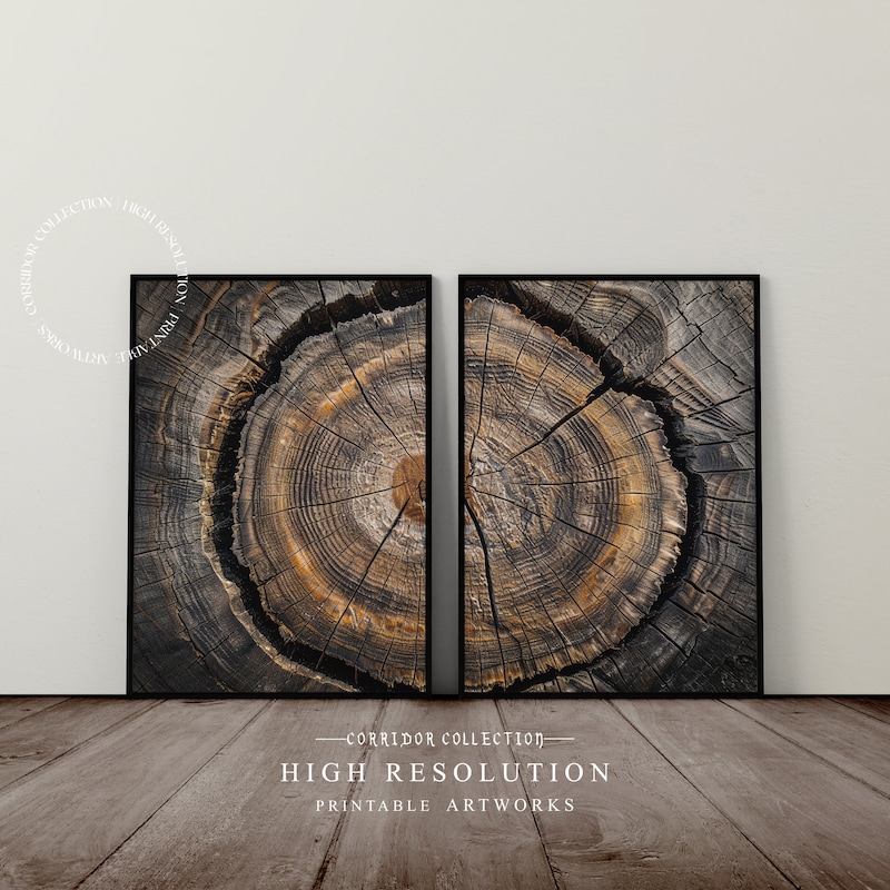 Tree Ring Print - Etsy