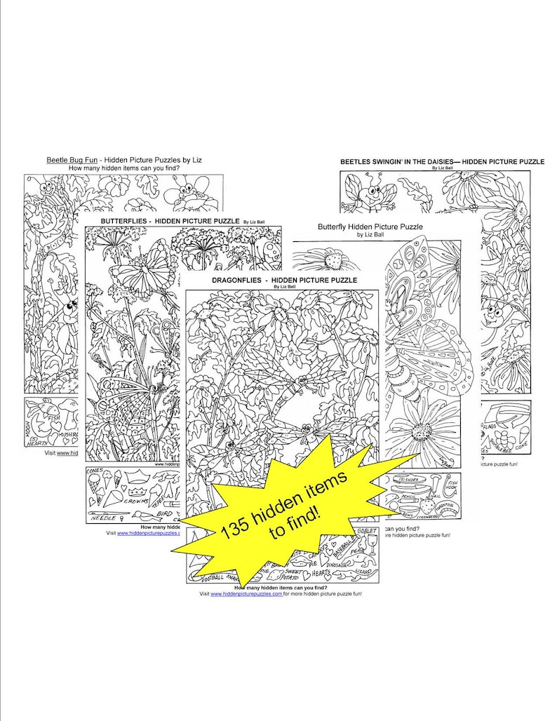 Bugs and Butterflies Hidden Treasures Picture Puzzle Pages Bundle - Etsy