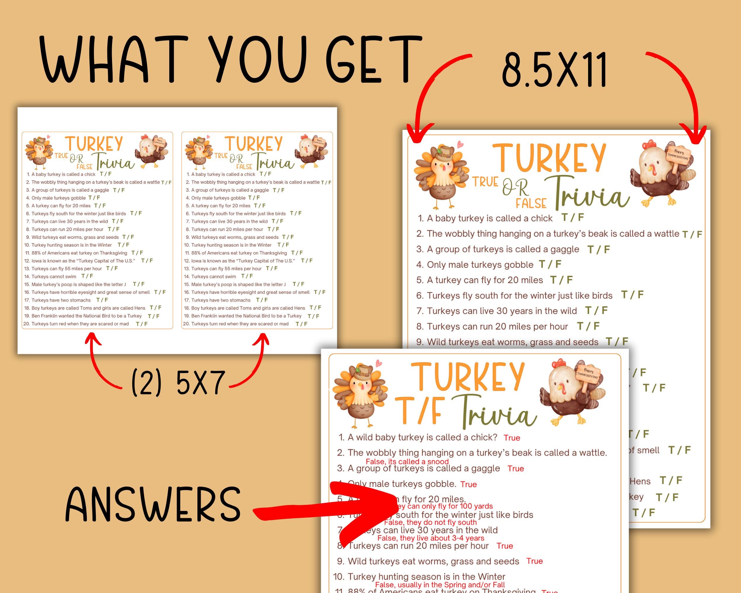 Turkey Trivia, Thanksgiving Trivia Game, Classroom Games, Turkey Quiz ...