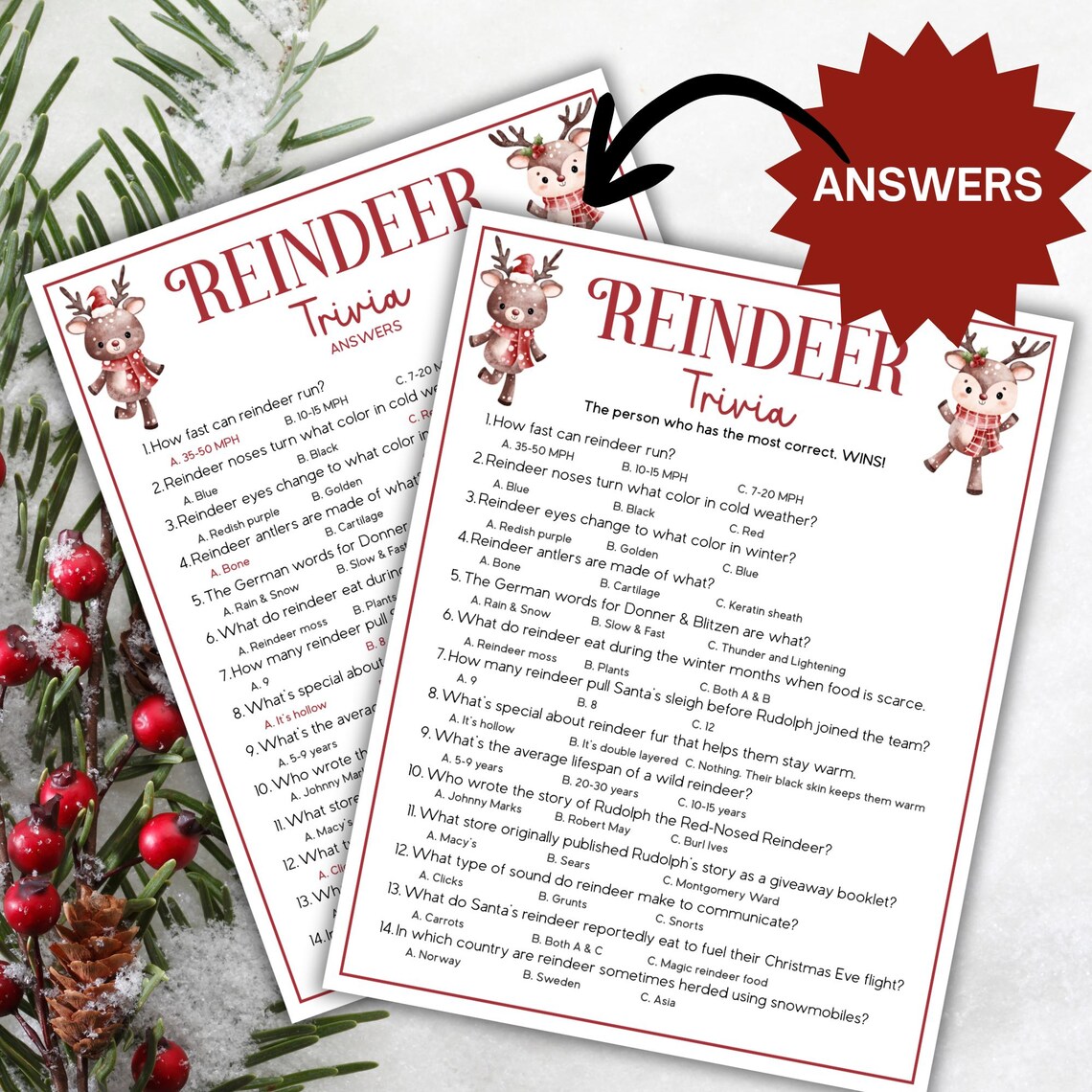 Reindeer Trivia Fun Christmas Game for Winter Classroom Party Reindeer ...