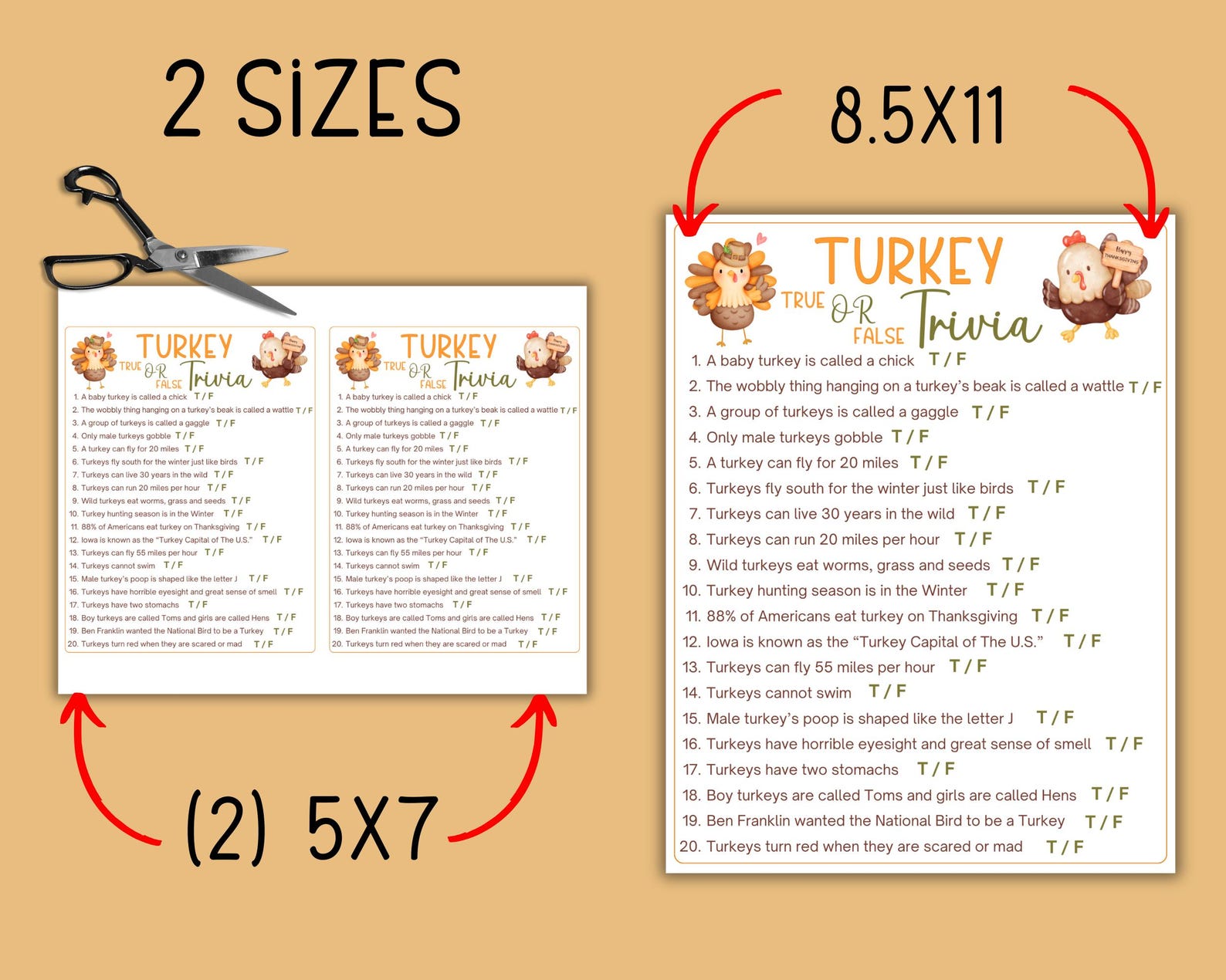 Turkey Trivia, Thanksgiving Trivia Game, Classroom Games, Turkey Quiz ...