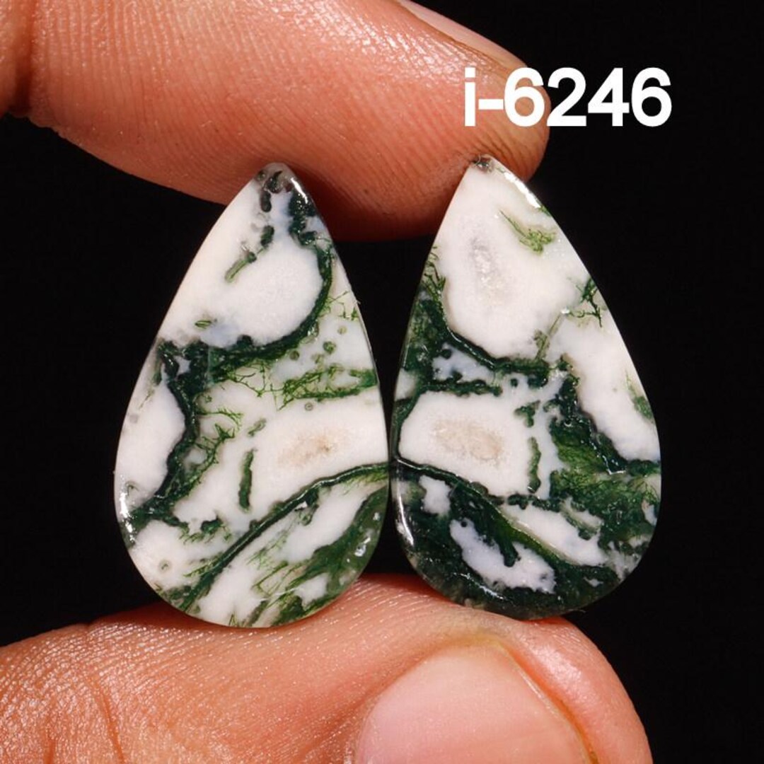 Natural Tree Agate Pairs Gemstone Cabochons, Mix Shape Tree Agate Pairs ...