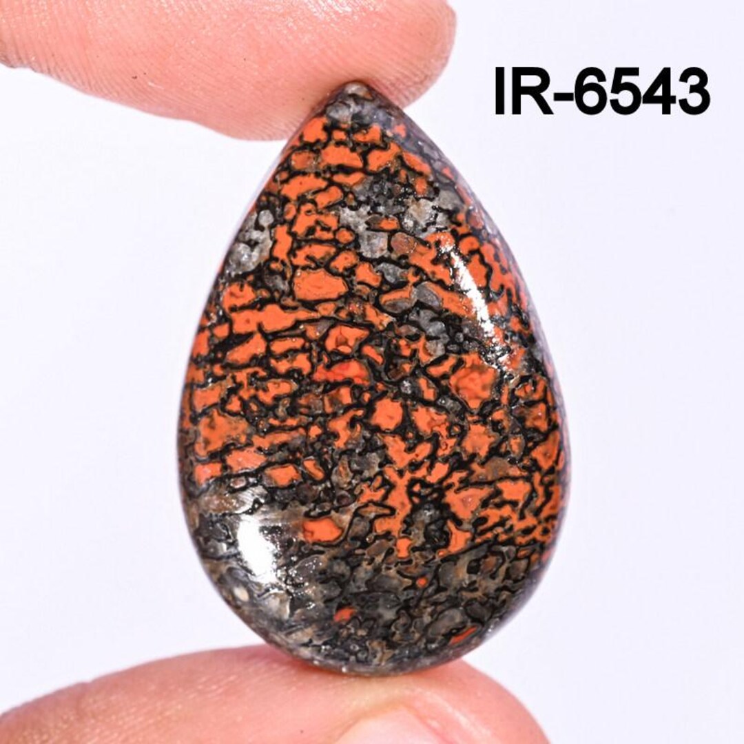 Top Quality Natural Dinosaur Bone Cabochon - Smooth Polished Flat Back ...