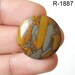 Rare Quality Natural Bamboo Jasper Cabochon Smooth Polished Flat Back ...