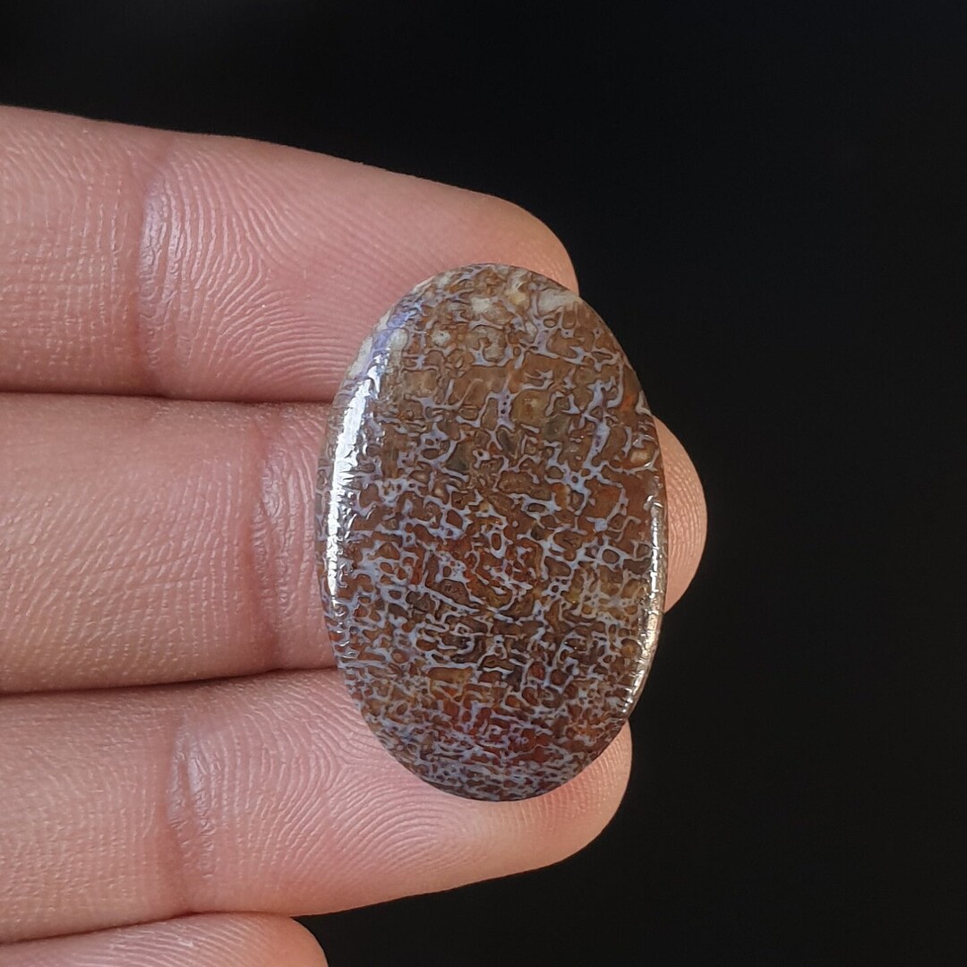 Natural Dinosaur Bone Gemstone Loose Dinosaur Bone Cabochon Smooth ...