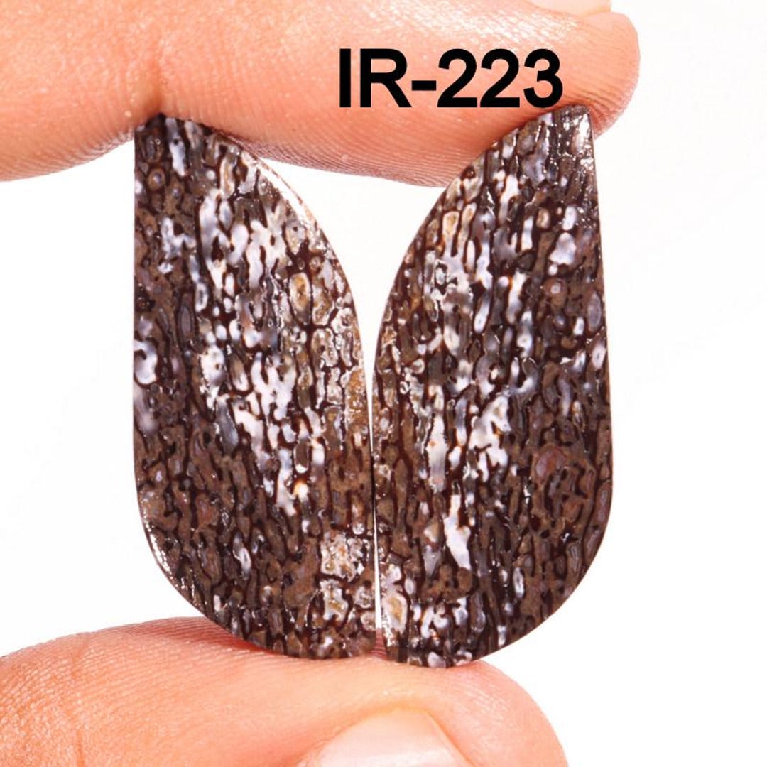 Natural Dinosaur Bone Cabochon Pairs – Polished Gemstone for Earrings ...