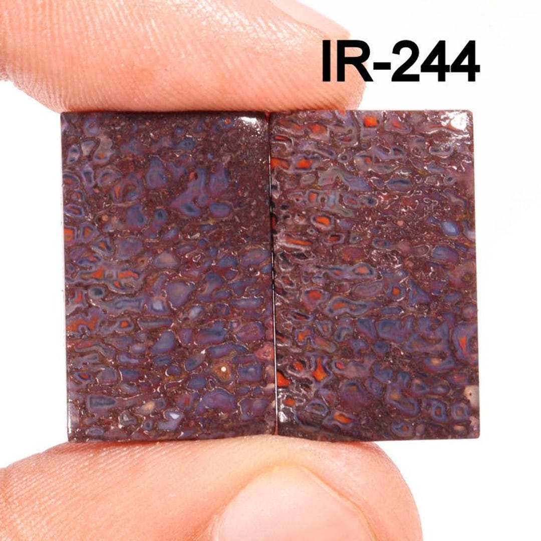 Natural Dinosaur Bone Gemstone Pairs Cabochon - Smooth Polished Flat ...