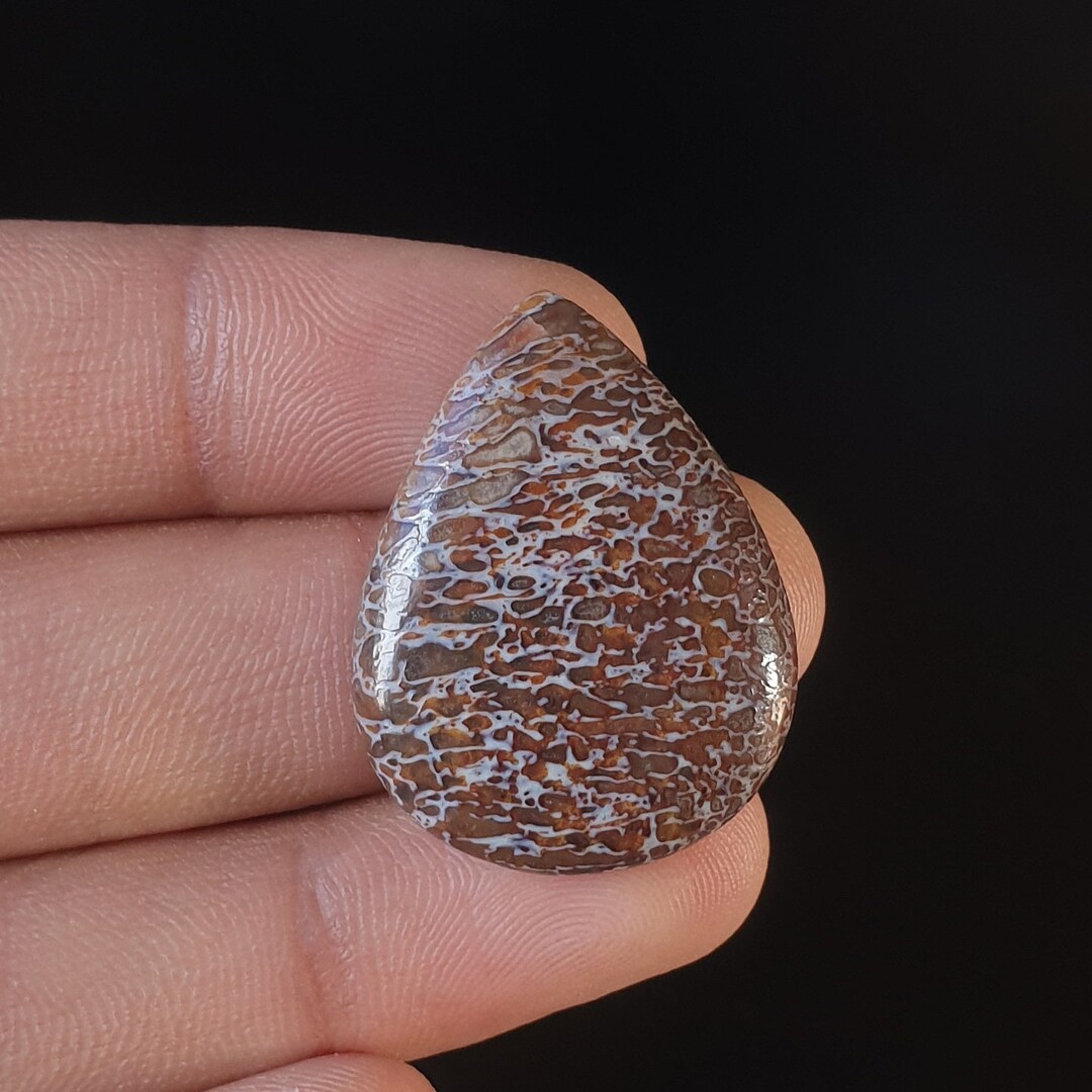 Angelic Dinosaur Bone Gemstone Loose Dinosaur Bone Cabochon Smooth ...