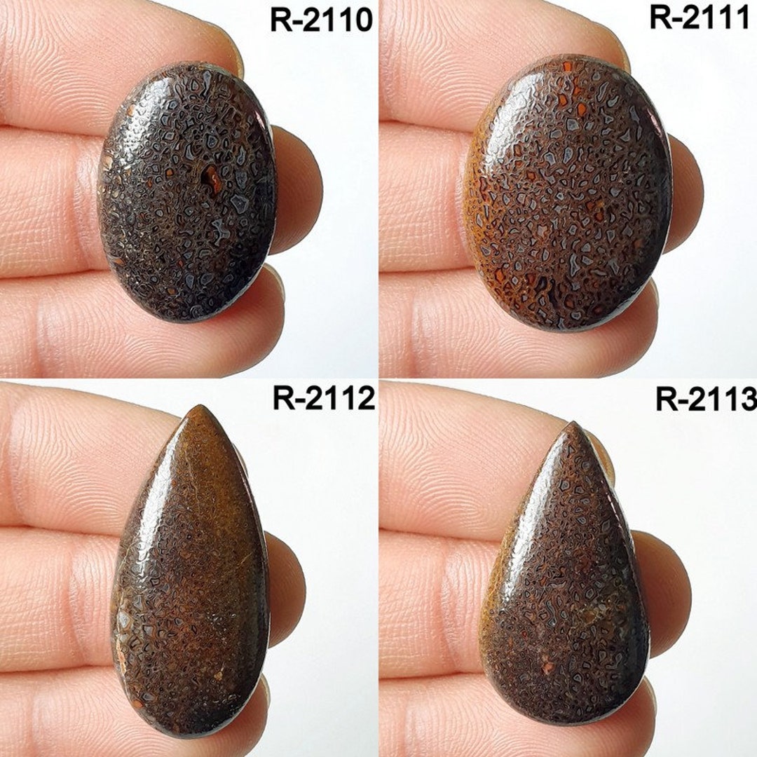 Amazing Quality Natural Dinosaur Bone Cabochon - Smooth Polished Flat ...