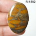 Rare Quality Natural Bamboo Jasper Cabochon Smooth Polished Flat Back ...