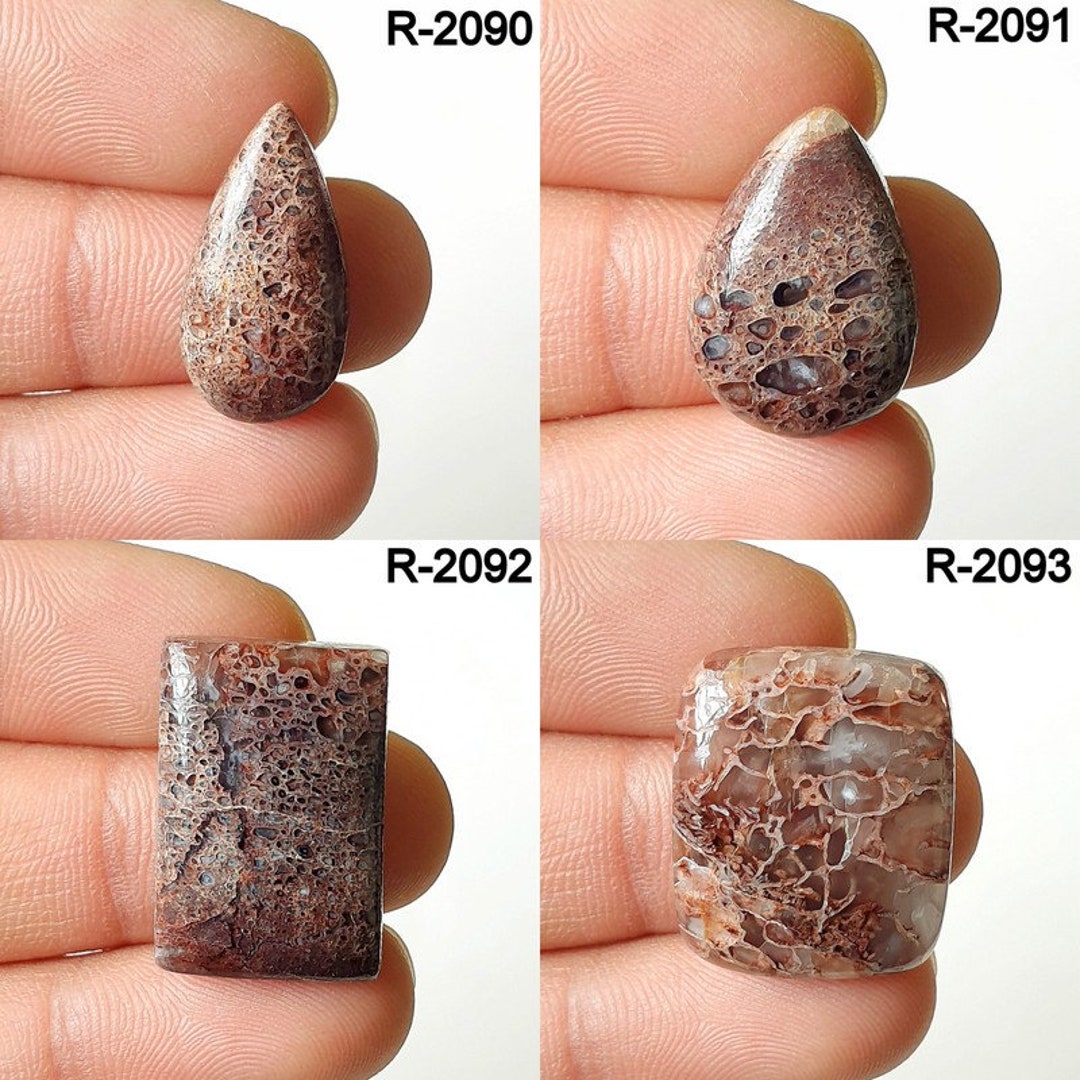 Rare Quality Natural Dinosaur Bone Cabochon Smooth Polished Flat Back ...