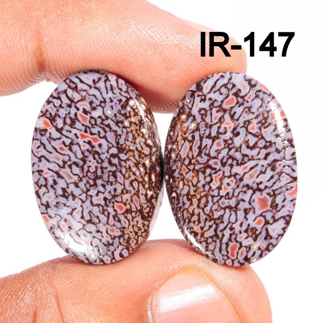 Natural Dinosaur Bone Gemstone Pairs Cabochon - Smooth Polished Flat ...