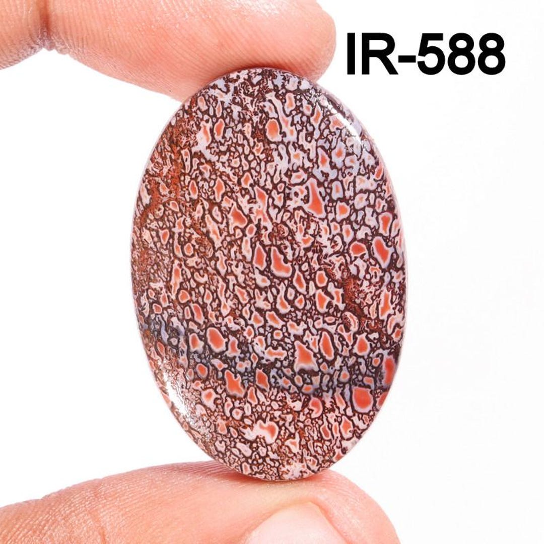 Rare Quality Natural Dinosaur Bone Cabochon - Smooth Polished Flat Back ...