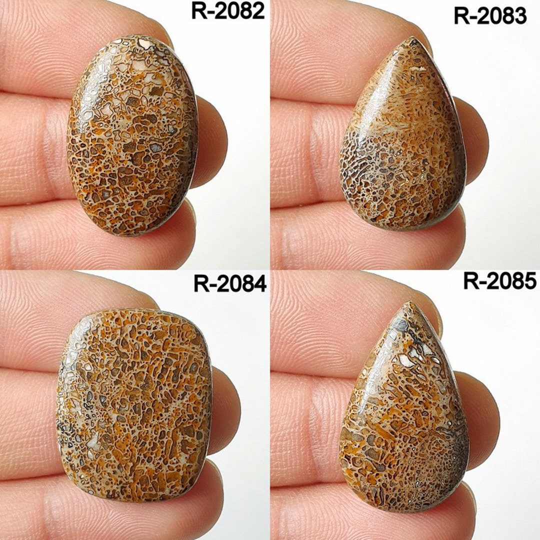 Rare Quality Natural Dinosaur Bone Cabochon Smooth Polished Flat Back ...