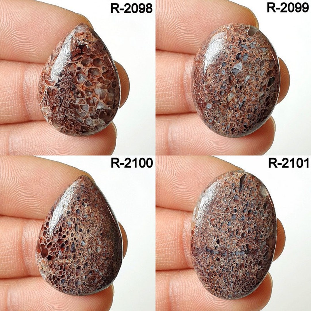 Top Quality Natural Dinosaur Bone Cabochon - Smooth Polished Flat Back ...