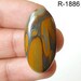Rare Quality Natural Bamboo Jasper Cabochon Smooth Polished Flat Back ...