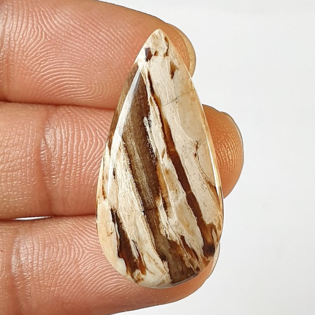 Natural Rare Peanut Wood Jasper Cabochon Smooth Polished - Etsy