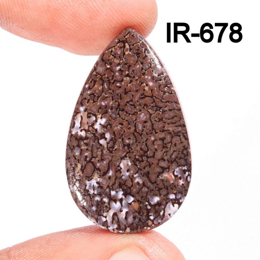 Rare Quality Natural Dinosaur Bone Cabochon - Smooth Polished Flat Back ...
