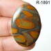 Rare Quality Natural Bamboo Jasper Cabochon Smooth Polished Flat Back ...