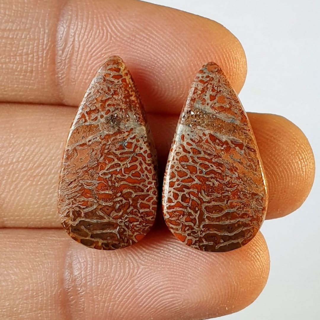 Natural Dinosaur Bone Pairs Gemstone - Loose Dinosaur Bone Cabochon ...