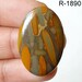 Rare Quality Natural Bamboo Jasper Cabochon Smooth Polished Flat Back ...