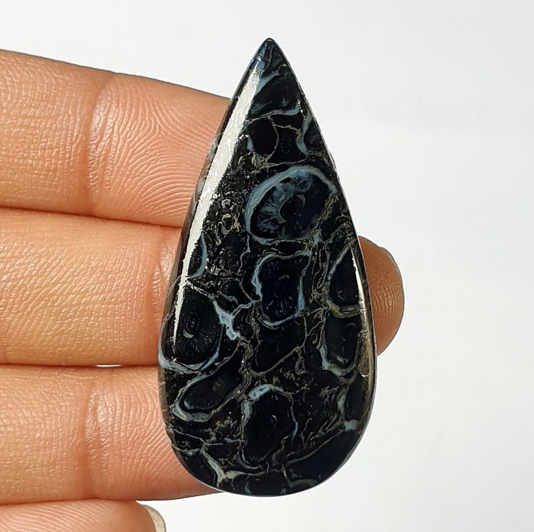 Natural Beautiful Black Palm Root Cabochon - Smooth Polished Cabochon ...