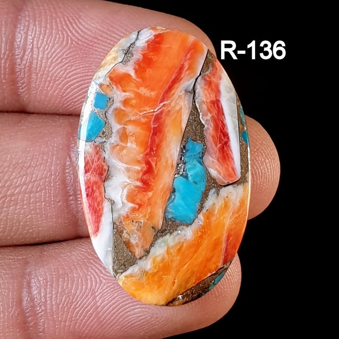 Elegant Quality Spiny Oyster Turquoise - Loose Oyster Cabochon - Smooth ...