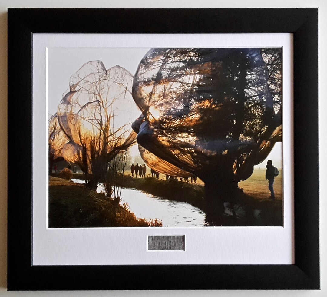 Christo – Wrapped Trees – Offset Lithograph, Framed With Original Piece ...