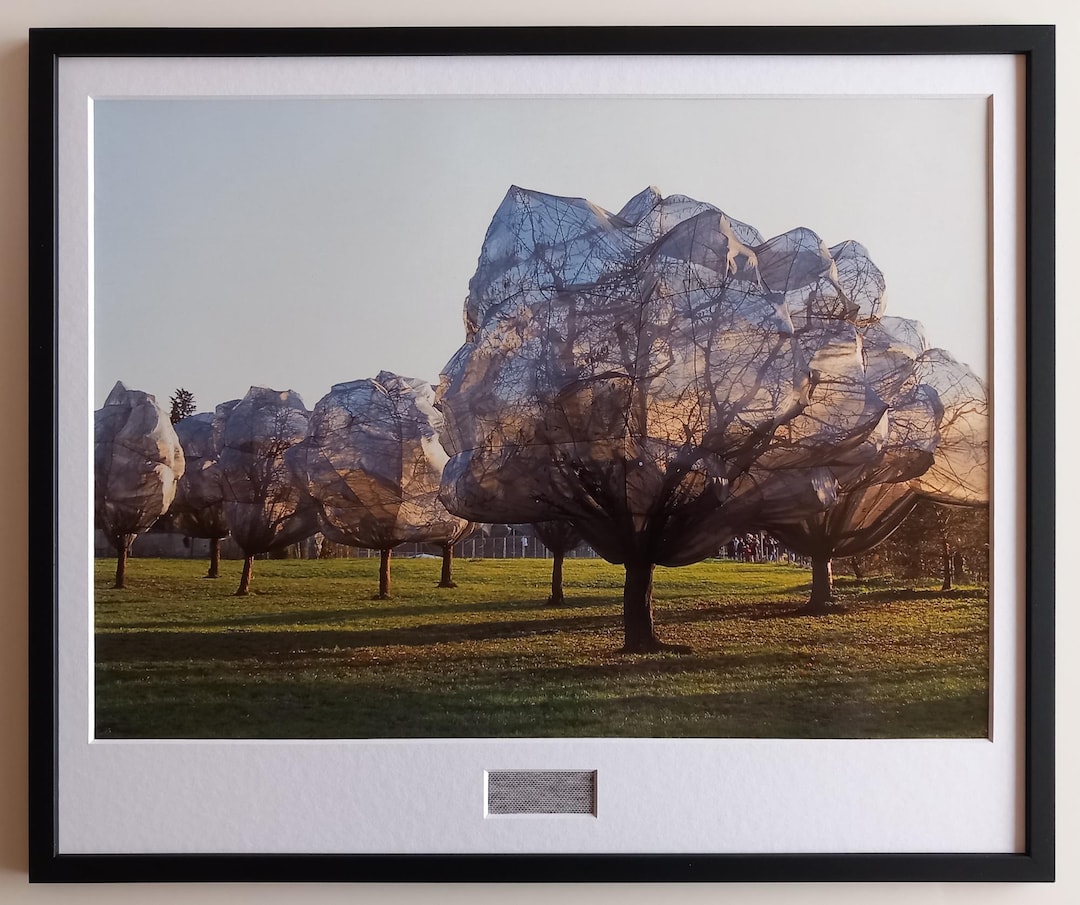 Christo & Jeanne-claude – Wrapped Trees – Art Print XXL Framed With ...