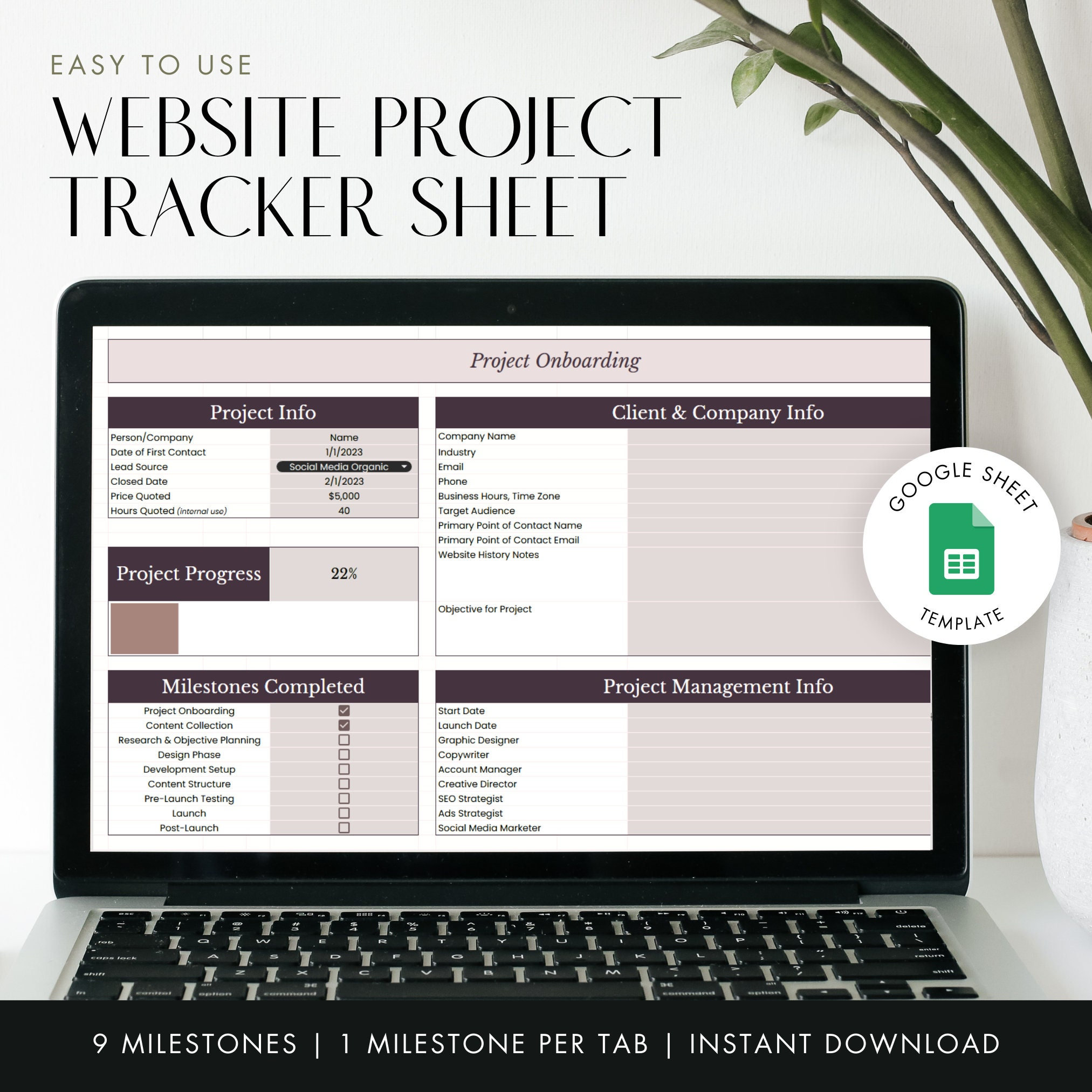 Web Designer’s Ultimate Project Tracker Sheet - Etsy