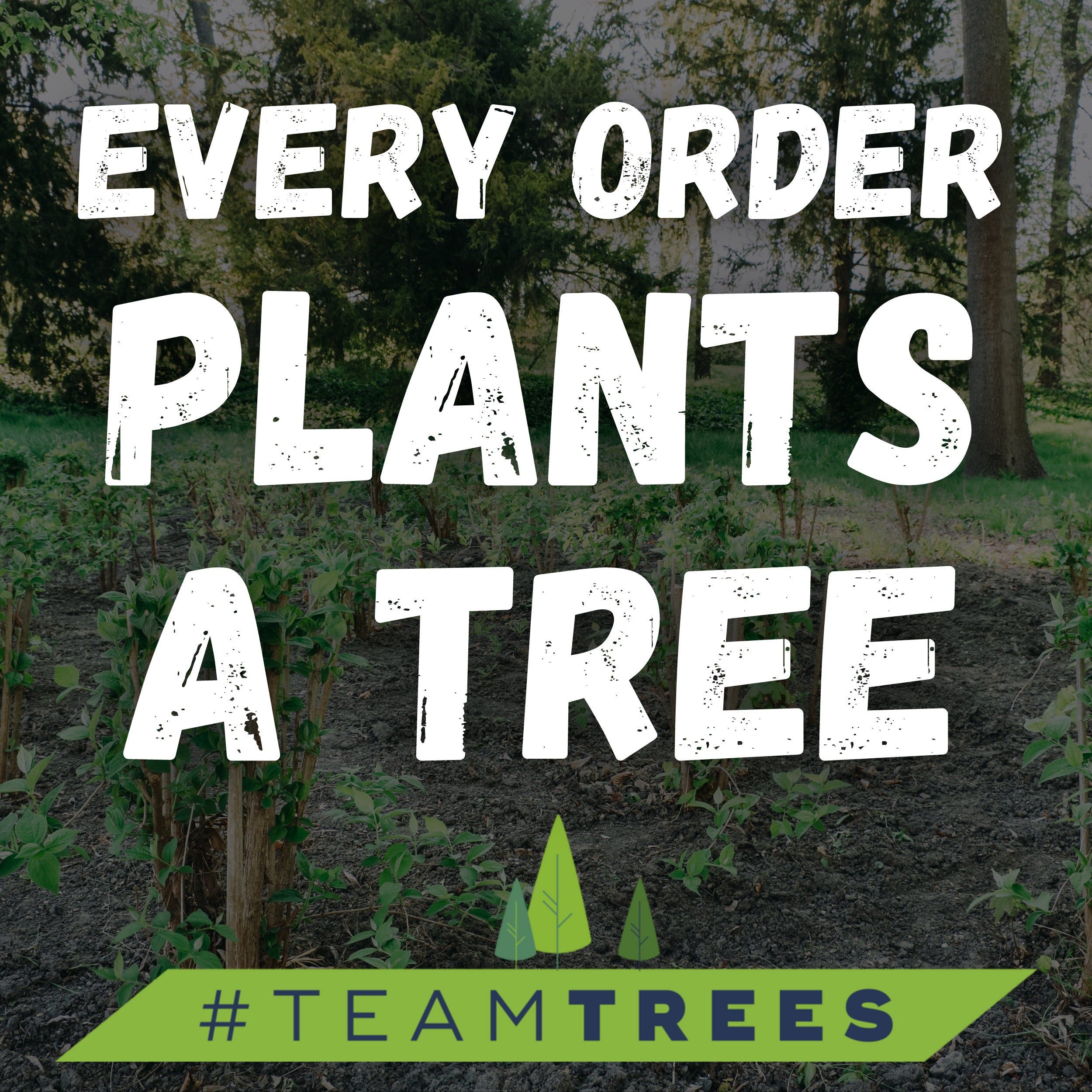 Custom Kanji Decal Customizable Size, Color, and Text Vinyl Lettering ...