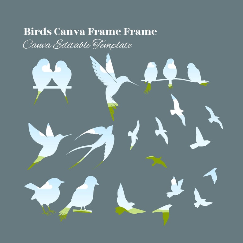 Birds Canva Frame Bundle Birds Frame PDF Canva Bird Template, Editable ...