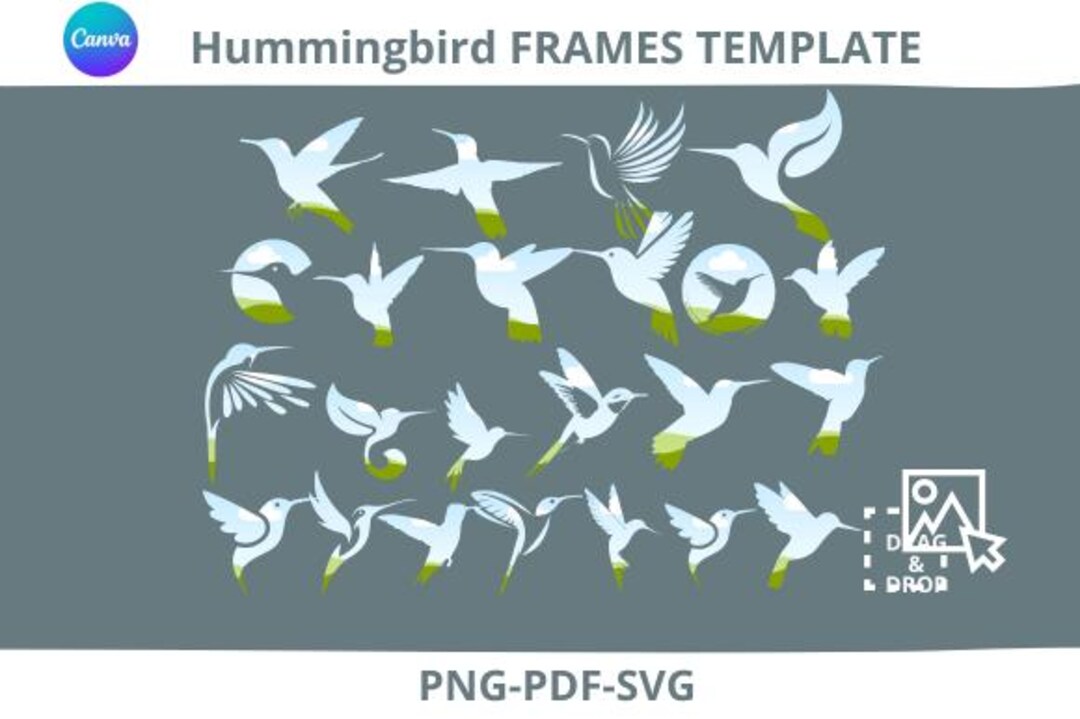 Hummingbird Canva Frame Bundle PDF Drag and Drop Smart Objects - Etsy