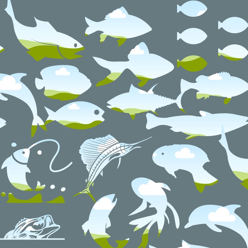 Fishing Canva Frame Template, Fish Theme, Fisher Canva Template Mockup ...