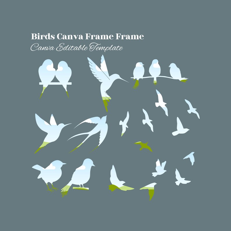 Birds Canva Frame Template: Editable Bird Bundle (PDF) - Etsy