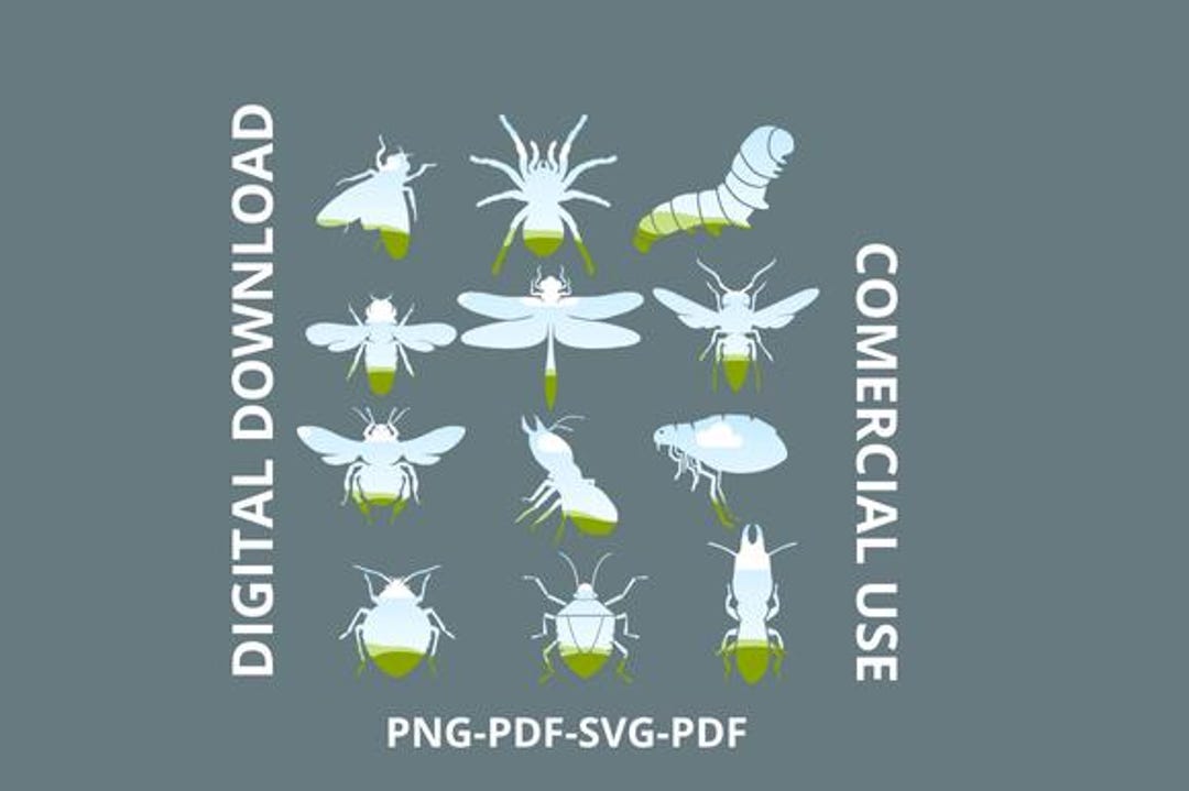 Bug Canva Frame Custom Templates, Insects SVG, Drag and Drop Collage ...
