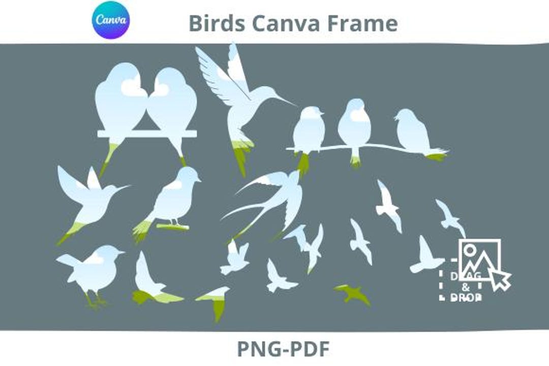 Birds Canva Frame Bundle Birds Frame PDF Canva Bird Template, Editable ...