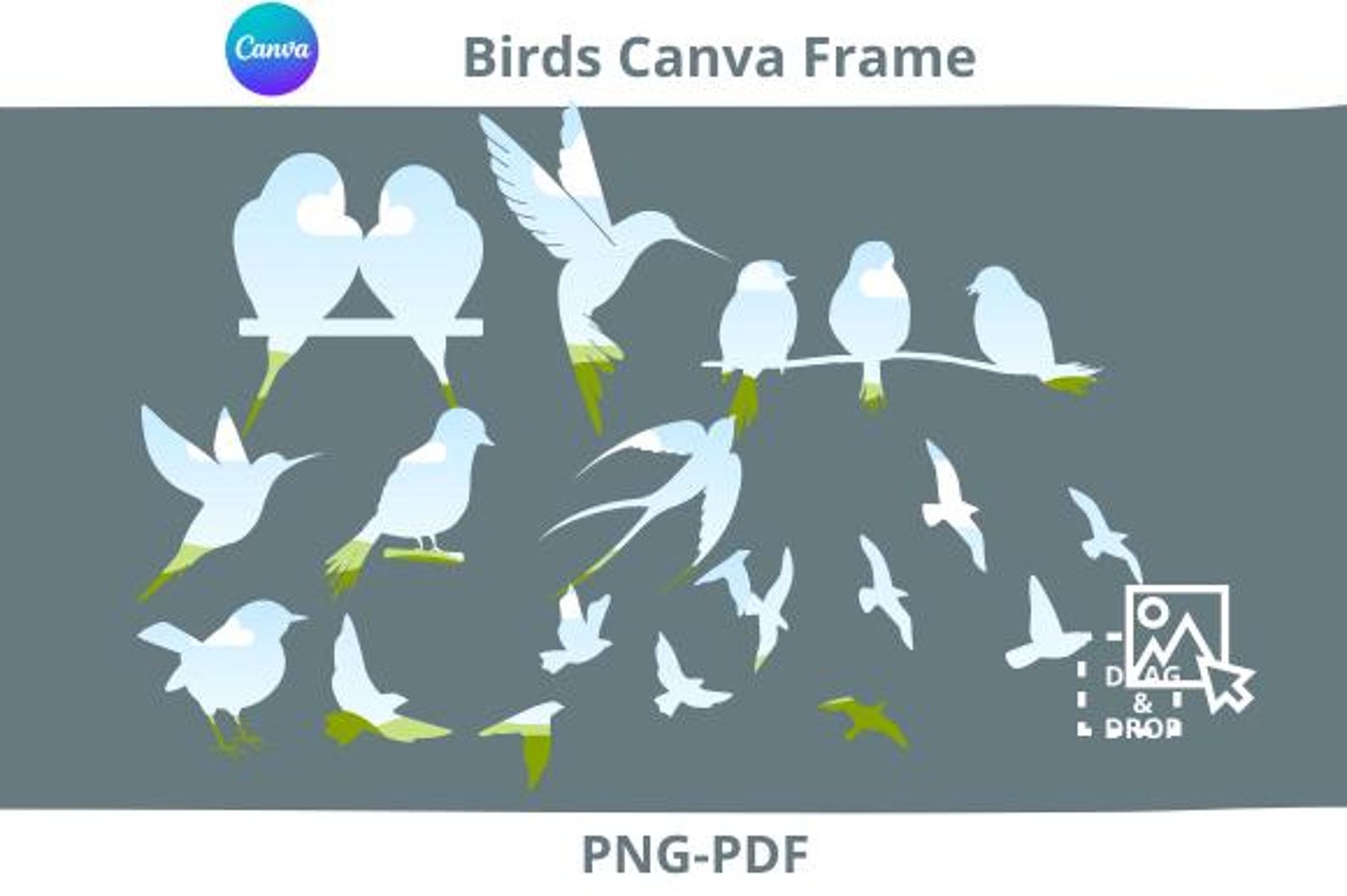 Birds Canva Frame Template: Editable Bird Bundle (PDF) - Etsy