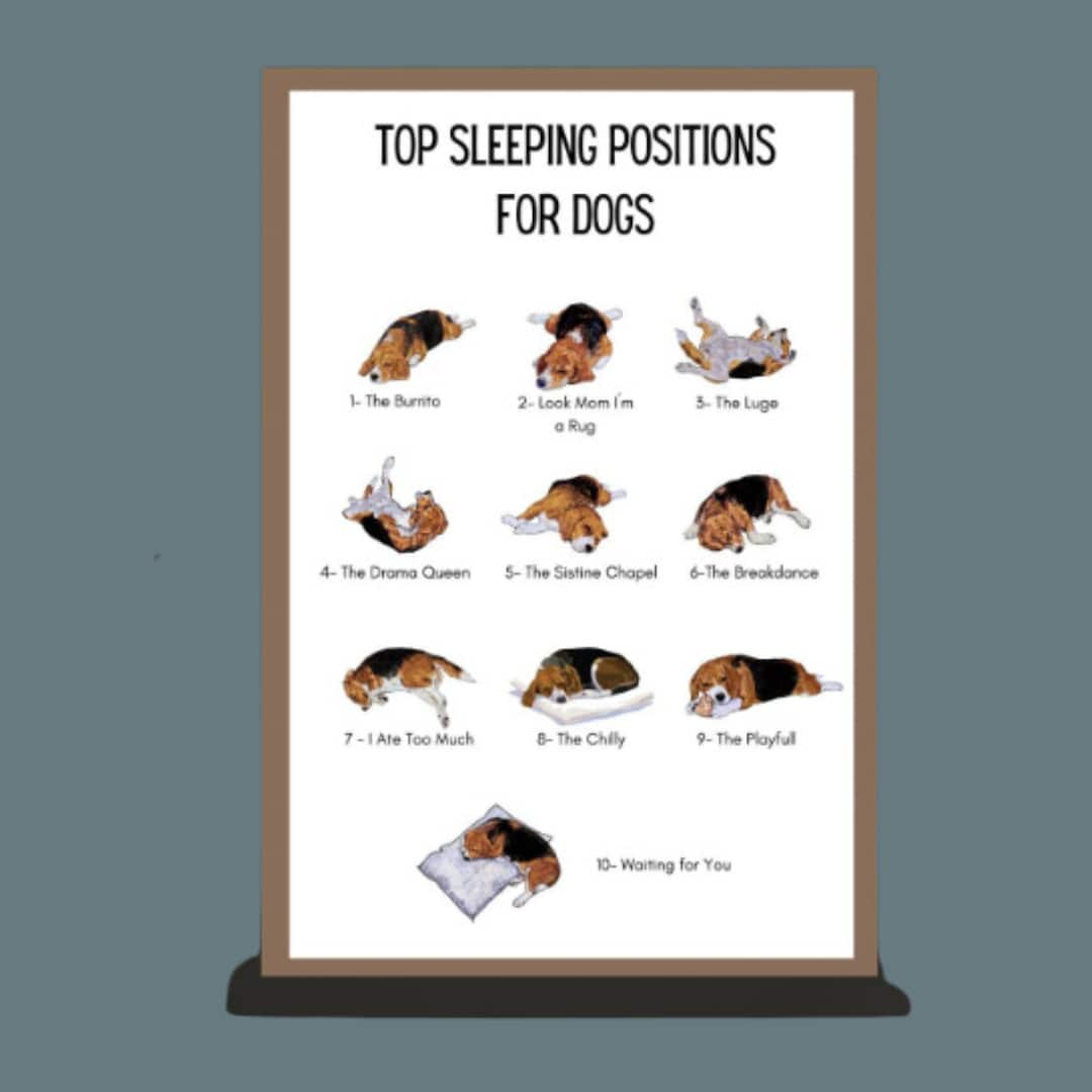 Dogs Wall Art, Sleeping Dogs Print Chart, Vintage Paw Printable Dogs ...