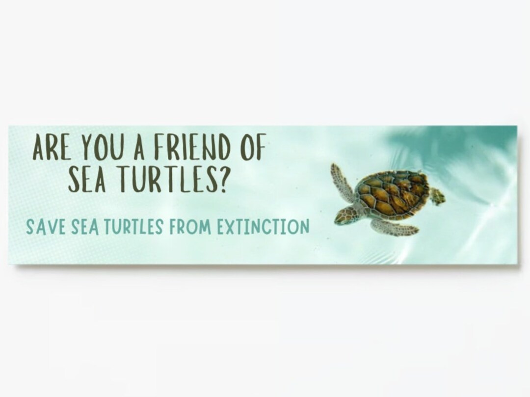 Save the Turtles Bumper Sticker Gift - Etsy